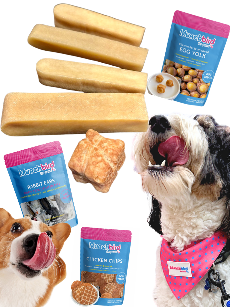 Yak Cheese for Dogs: A Nutritious and Tasty Treat – Munchbird