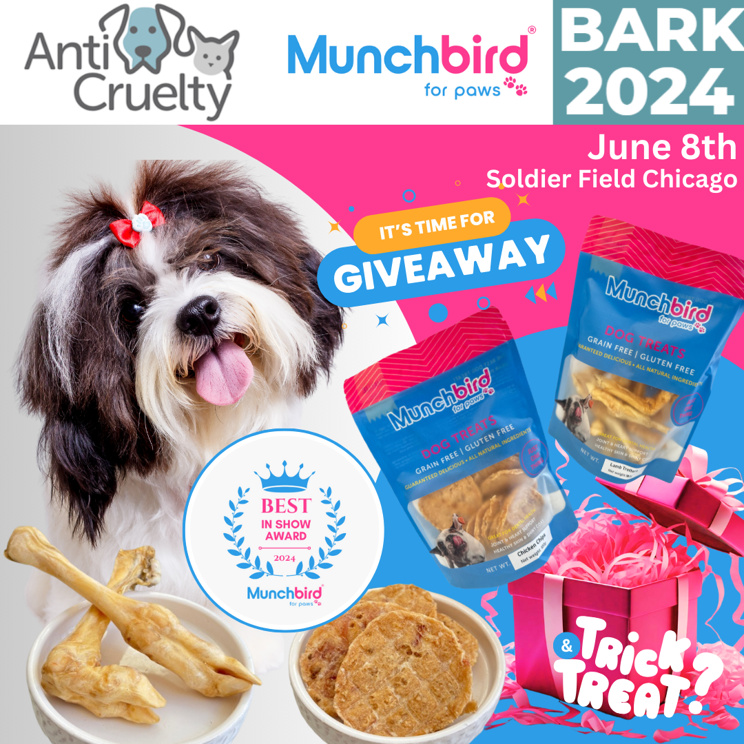 Munchbird Sponsors Anti Cruelty Society, Largest Animal Shelter in Chi