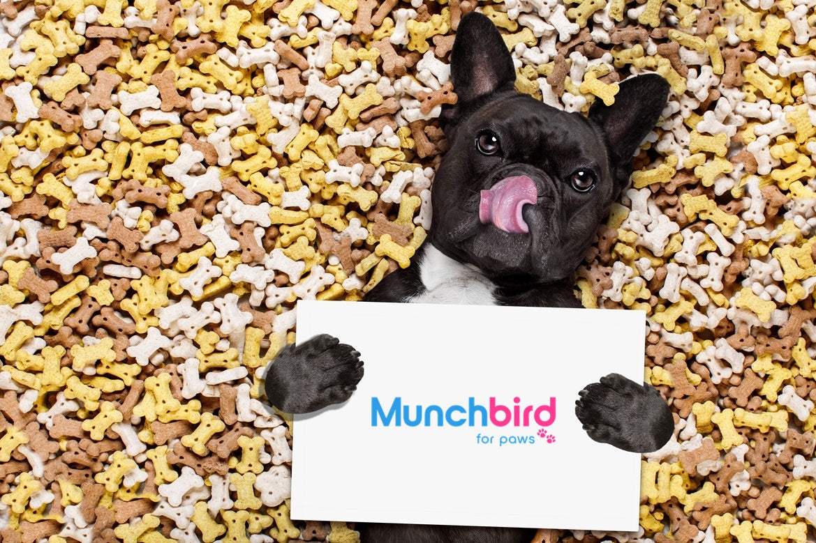 Pamper Your Pooch! Munchbird's Dog Treat Collection - On Sale Now!
