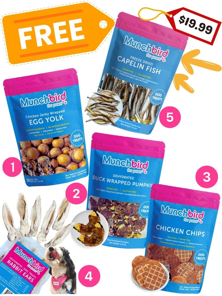 Best Dog Treats & Dog Chews (Free Shipping) l Munchbird