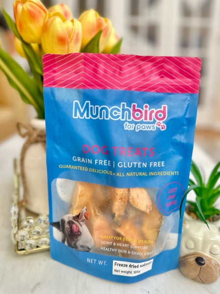 18 Most Common Cocker Spaniel Health Problems and How to Prevent ...