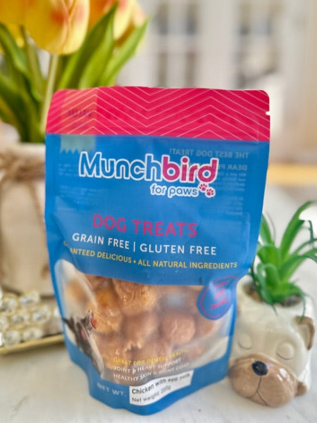 18 Most Common Cocker Spaniel Health Problems and How to Prevent ...